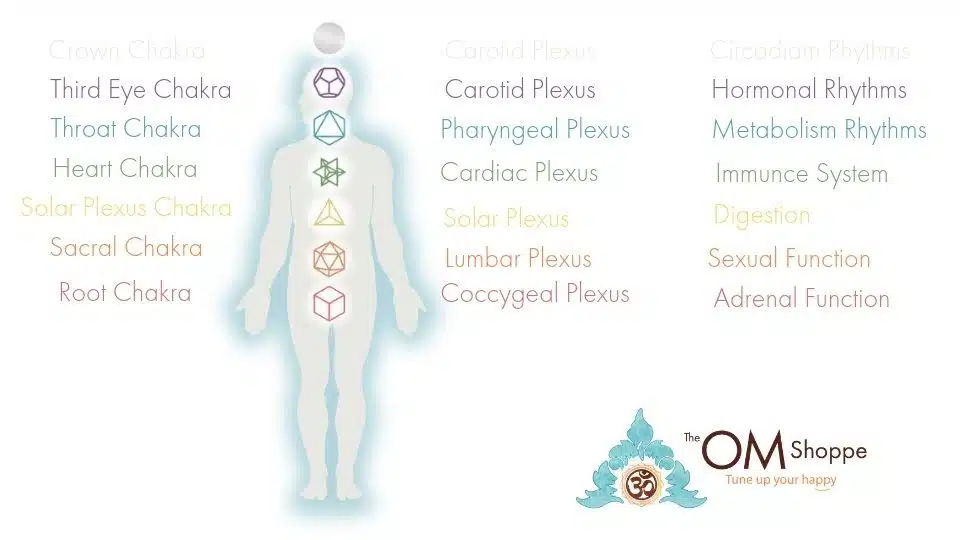 Are Chakras Real? (Energy Explained) | The Om Shoppe